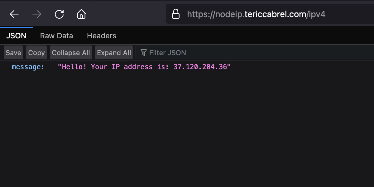 Get the user IP address in a Node.js application with Express Get the user IP address in a Node.js application with Express