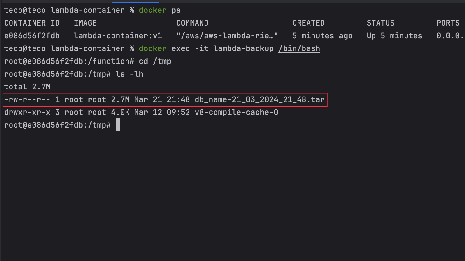 How to deploy a AWS Lambda container with Docker