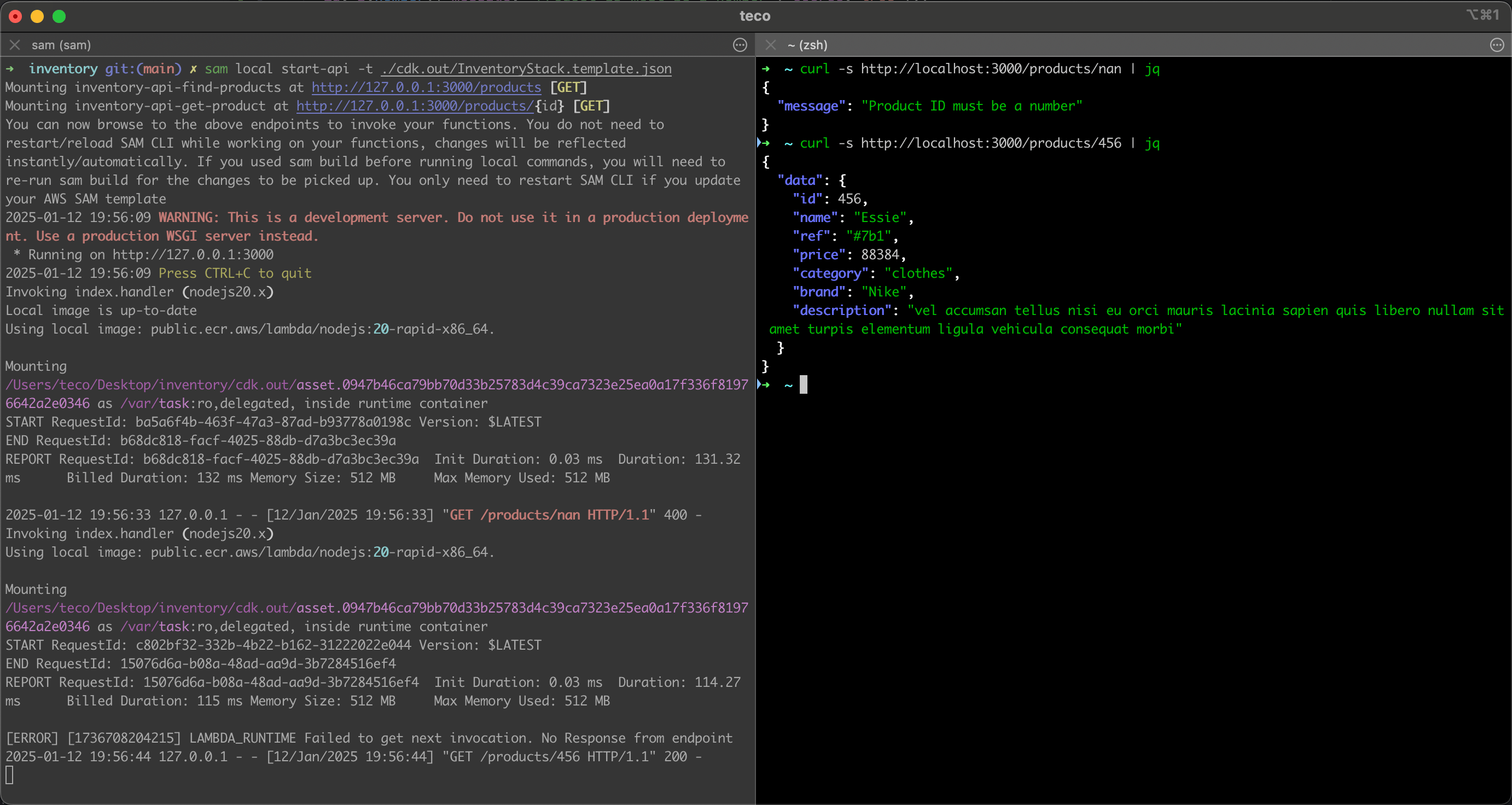 Read Path and Query Parameters from AWS Lambda and API Gateway