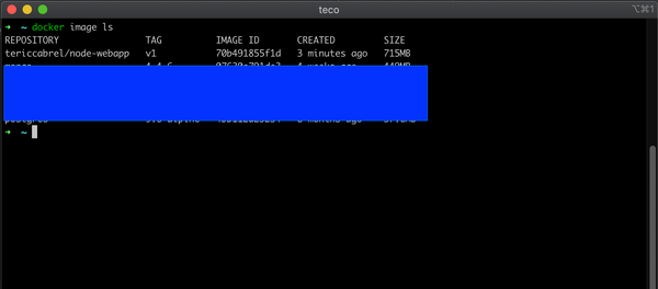 Using Docker And Docker Compose With Nodejs And Mongodb