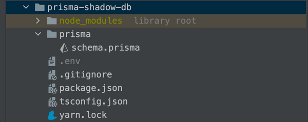 Why you need a shadow database when using the Prisma ORM