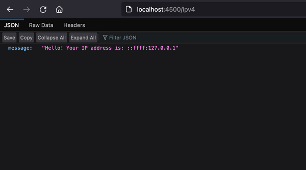 Get the user IP address in a Node.js application with Express