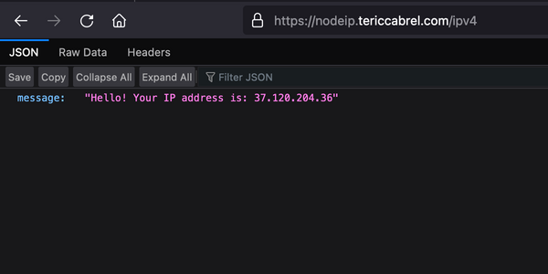 Get the user IP address in a Node.js application with Express